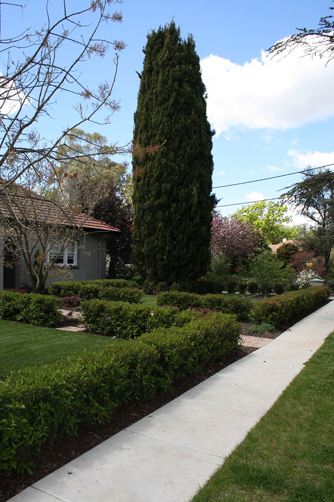 Gallery - Professional Plant Supplies